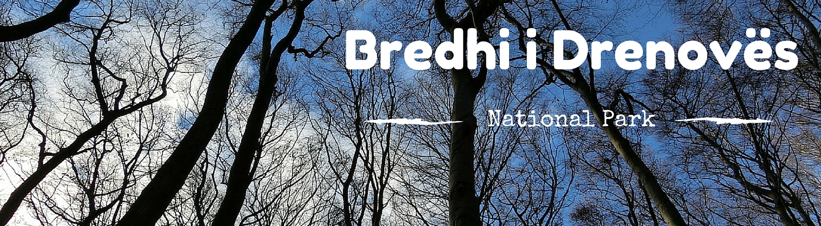 Bredhi i Drenovës National Park - National Parks Guy