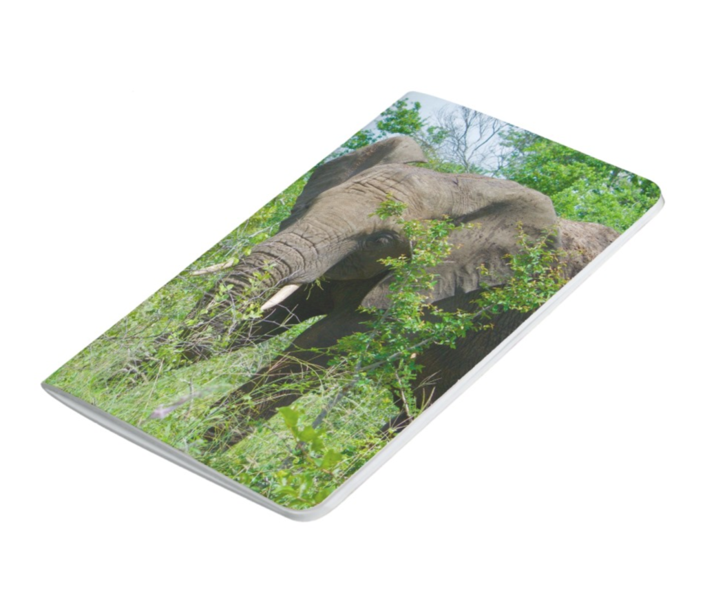 African Elephant Journal - National Parks Guy